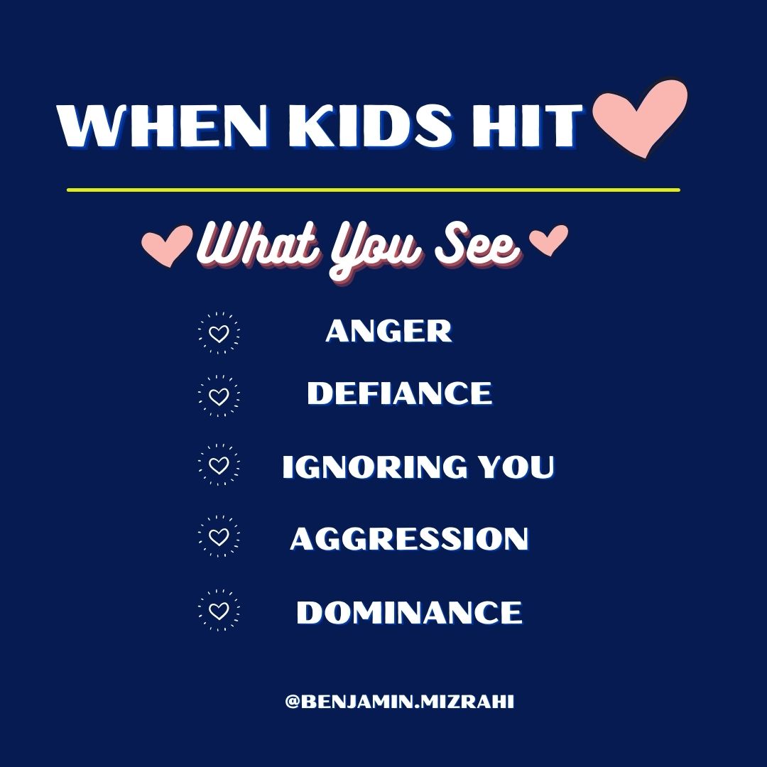 Why Kids Hit and What to Do About It? – EXECUTIVE FUNCTIONS COACHING